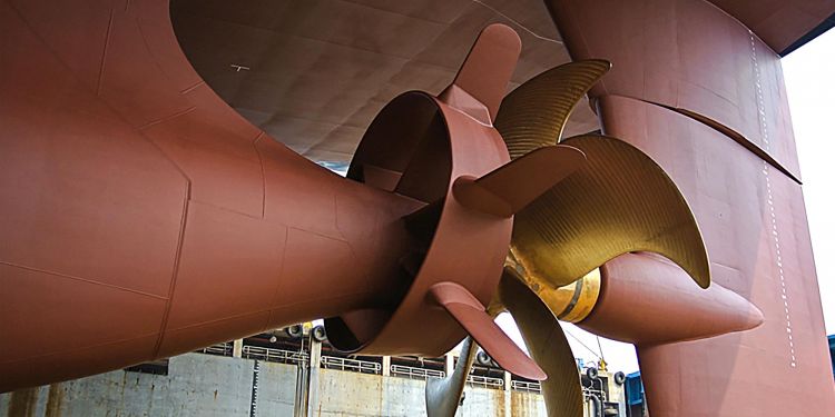 Marine | Dolphin Consultants